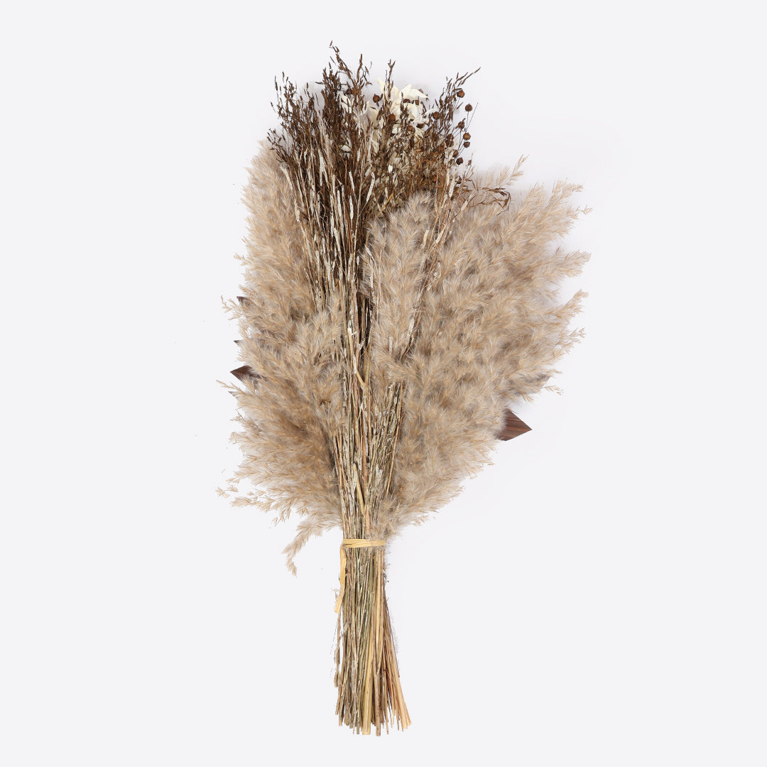True Brown Dried Flower Bunch | The Maeva Store – The Maeva Store