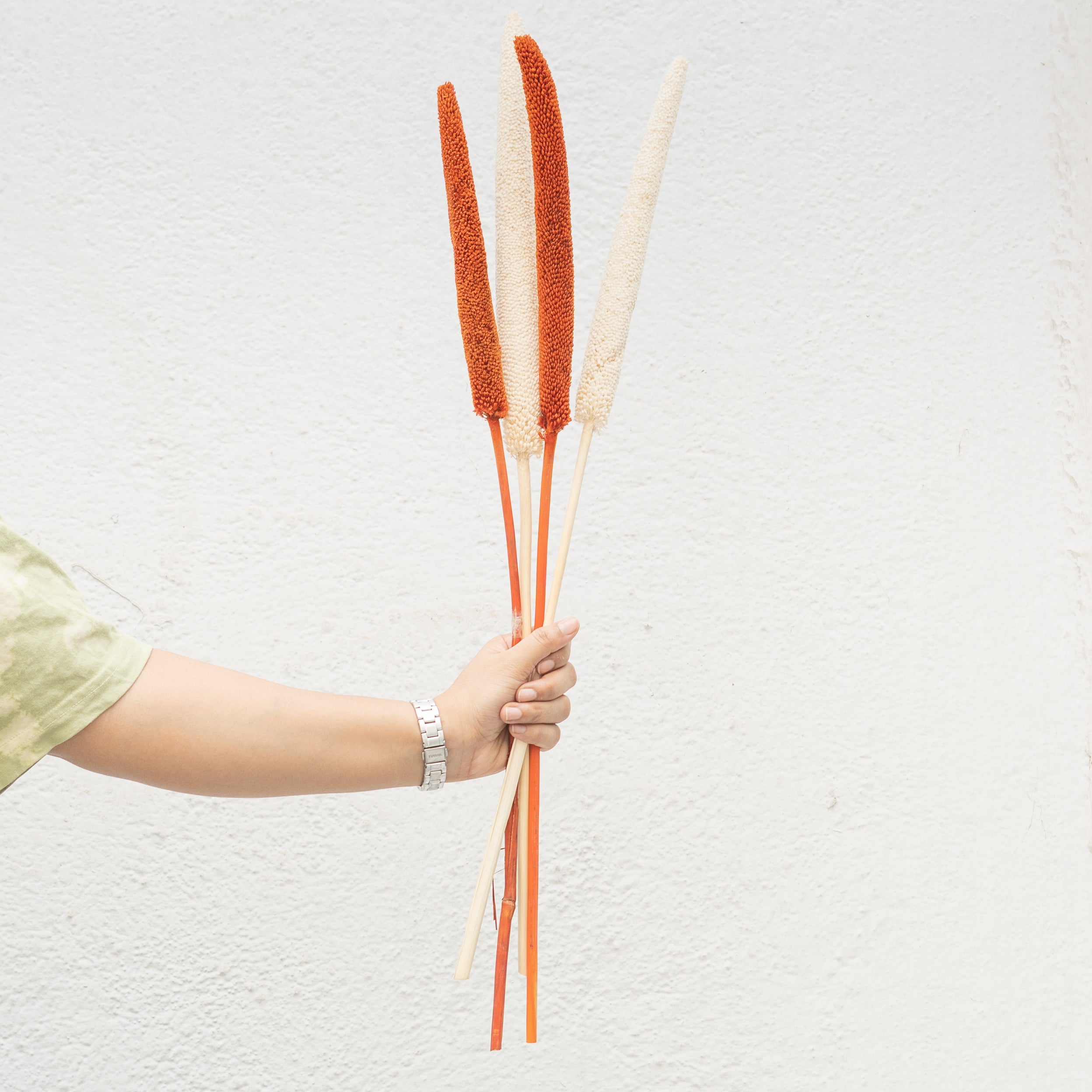 Buy Dried Babala Stems Set of 5 Online | Floral Decoration | The Maeva ...