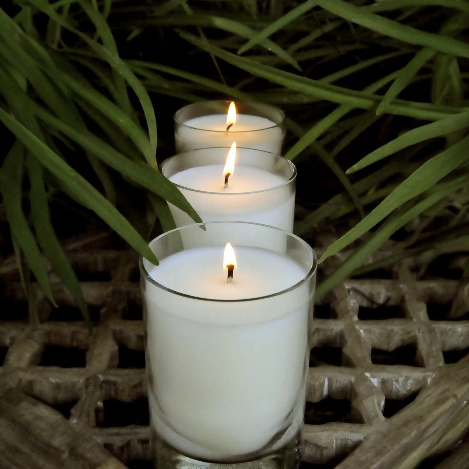Shot Glass Candle - Pack of 12 🥃🕯️ | The Maeva Store