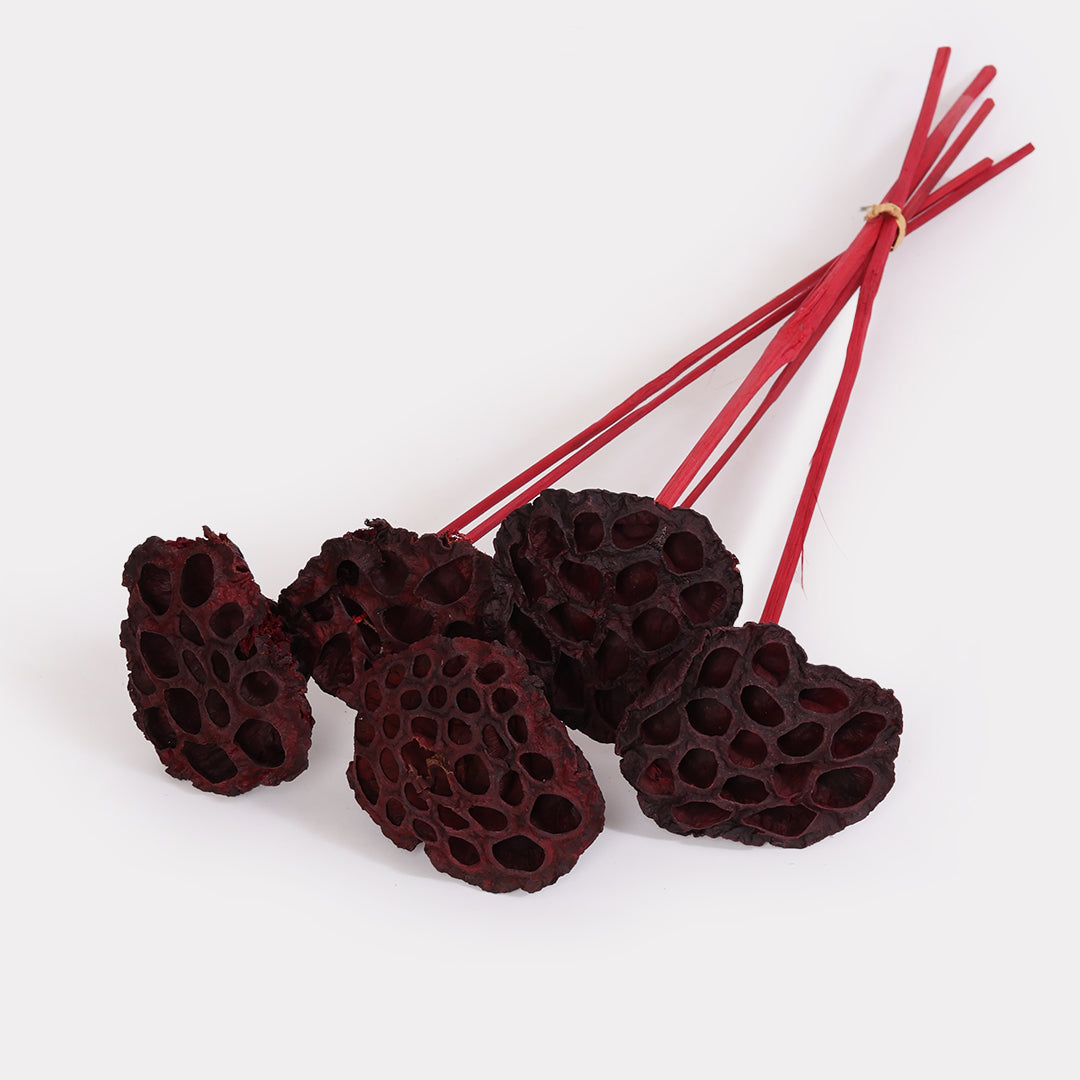 Lotus Pod Stems Red Set of 5 | The Maeva Store – The Maeva Store